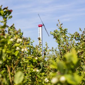 Orchard-Rite 2600 Wind Machine - Lakeview Vineyard Equipment