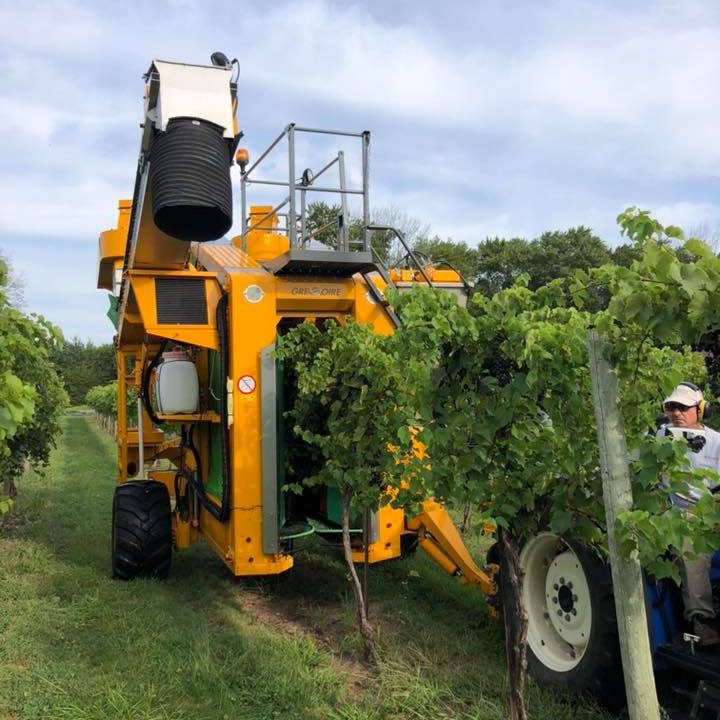 Grape Harvesters Archives - Lakeview Vineyard Equipment