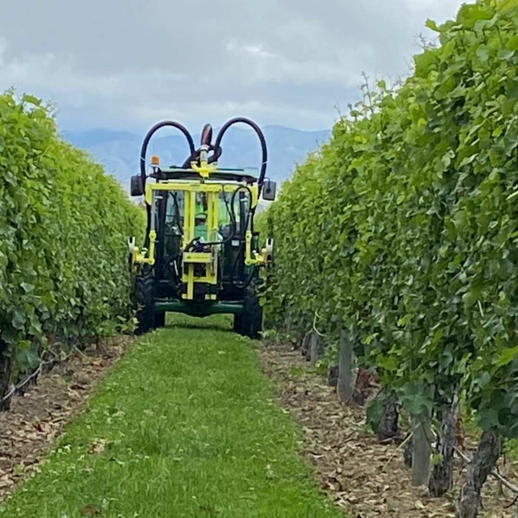 Collard E2200F MAX Leaf Remover - Lakeview Vineyard Equipment