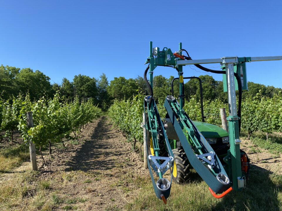 Hedger/Trimmer | Lakeview Vineyard Equipment